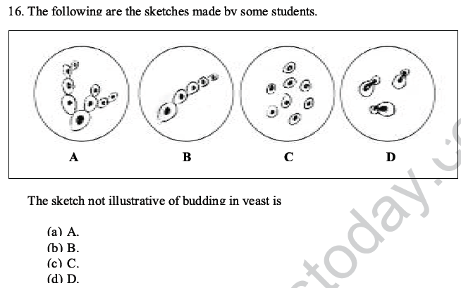 CBSE Class 10 Science MCQs Set 5 with Answers CBSE Class 10 Science MCQs Set 5 with Answers